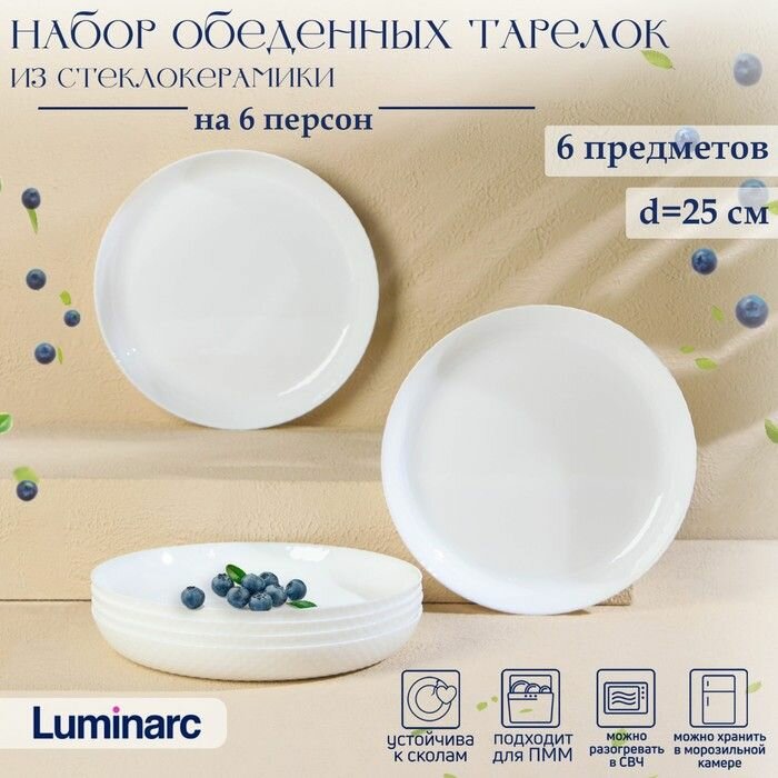 Набор тарелок обеденных, d 25 см, стеклокерамика, 6 шт, цвет белый 1 шт.