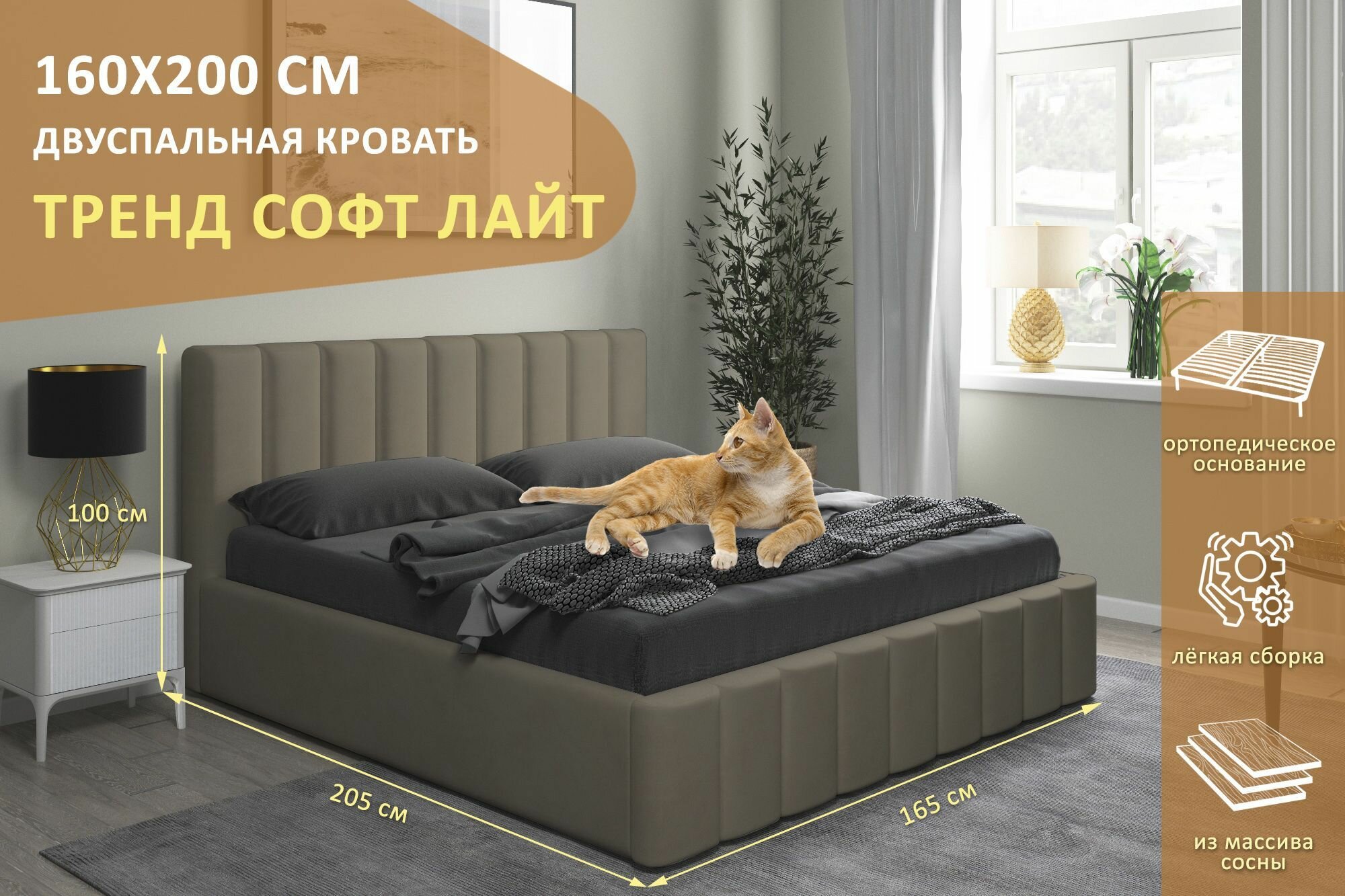 Двуспальная кровать Тренд Софт Лайт 160х200 см, с ортопедическим подъемным механизмом, без ножек, цвет темно-серый