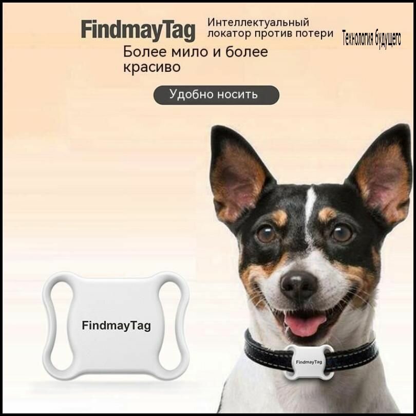 GPS-навигатор для поиска новых питомцев