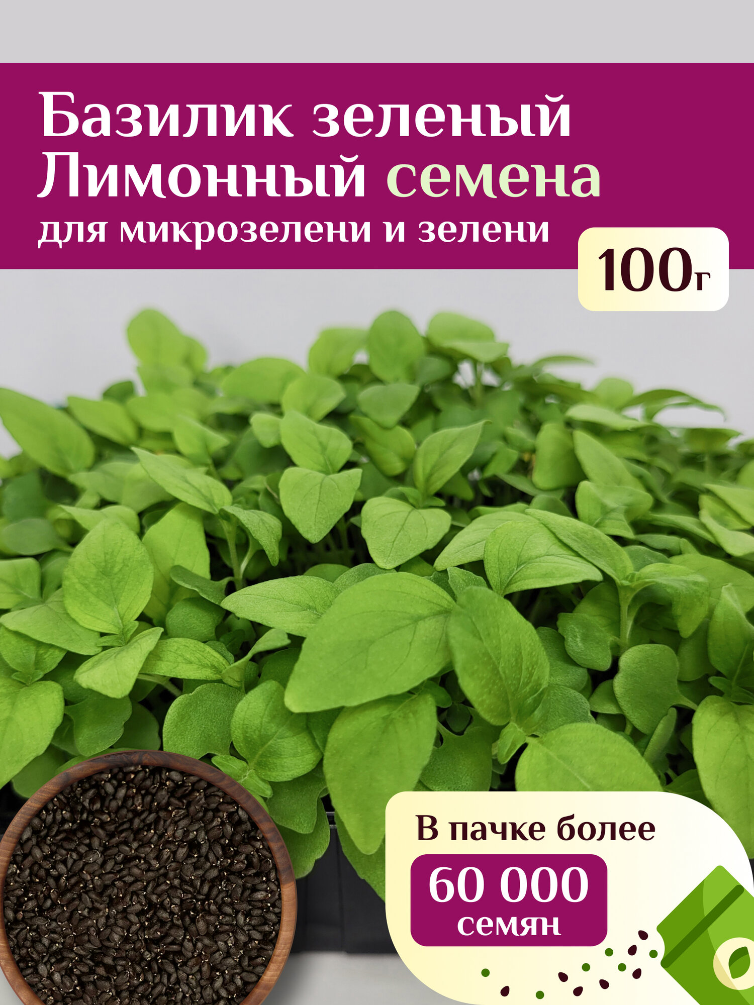 Базилик зеленый Лимонный семена микрозелени и зелени, Ильинские проростки 100г