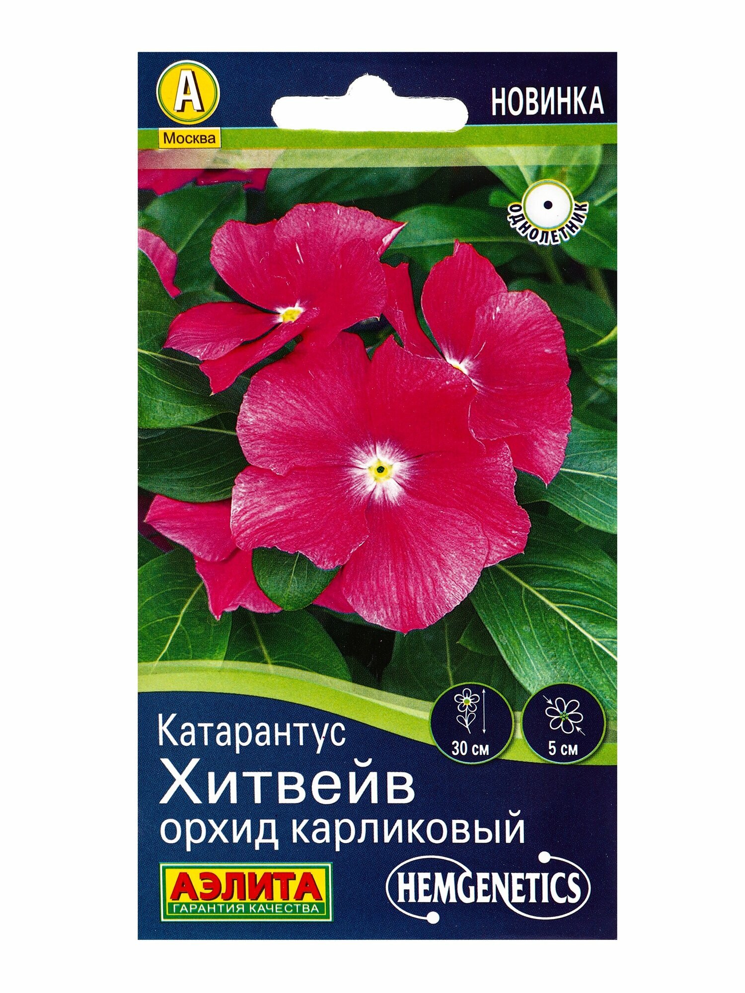 Семена цветов Катарантус «Хитвейв Орхид карликовый» 5 шт.