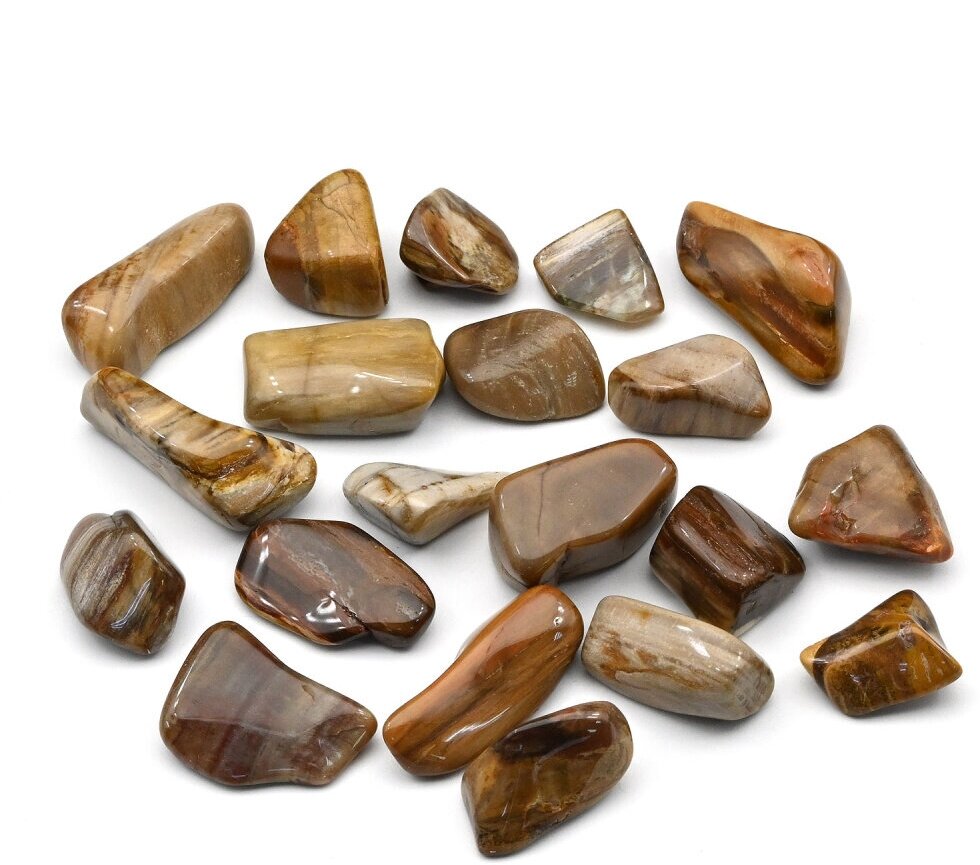 Окаменелое дерево галтовка фракция 10-25мм, упаковка 100г (M) .