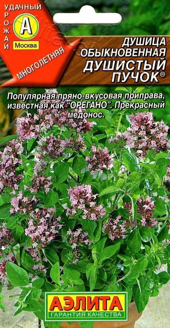 Семена Душица (орегано) Душистый пучок 0.05г (Аэлита)