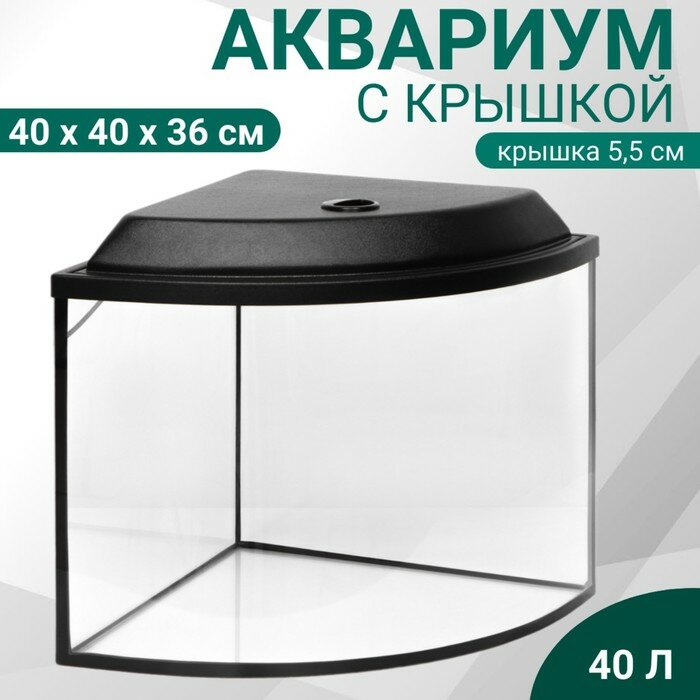 Аквариум «Сектор» угловой с крышкой, 40 л, 40×40×36/41.5 см, чёрный