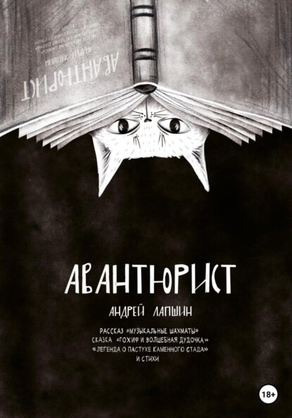 Авантюрист [Цифровая книга]
