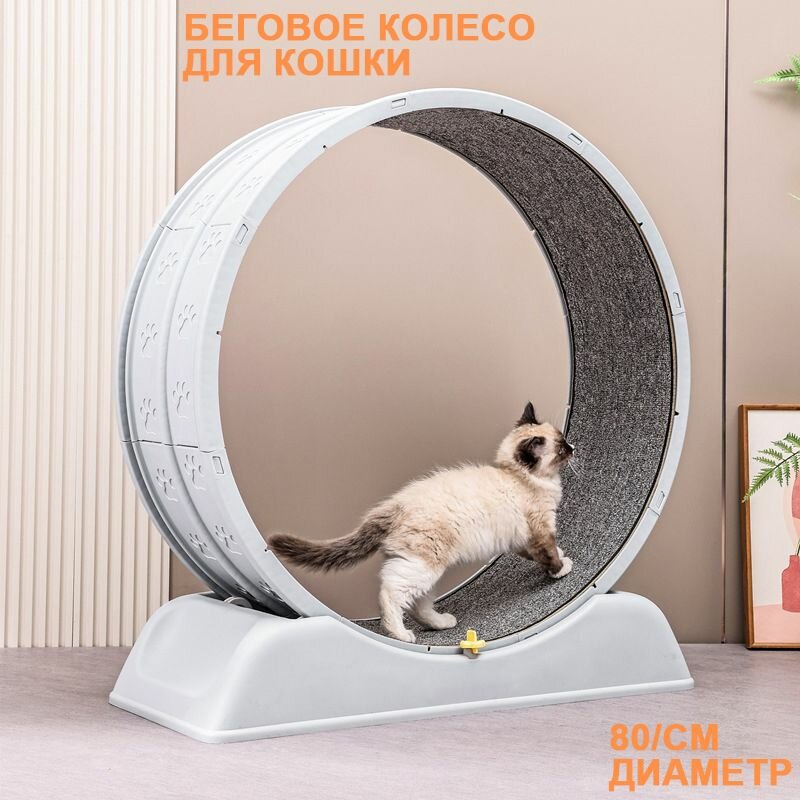 Беговое колесо для животных