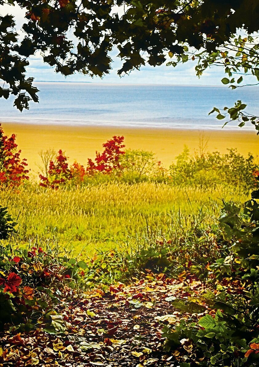 Постер. Россия. Времена года. Осень. По дороге на старую Руссу. Формат А3.