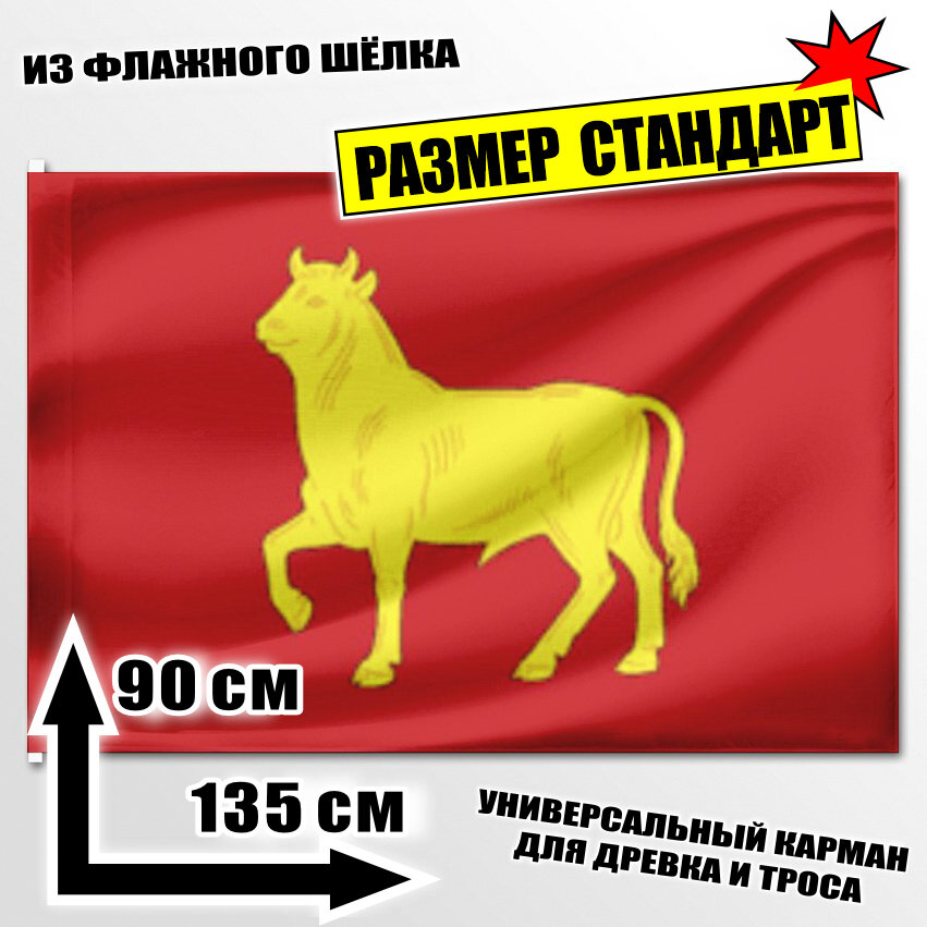 Флаг Куйбышева 135x90 см.