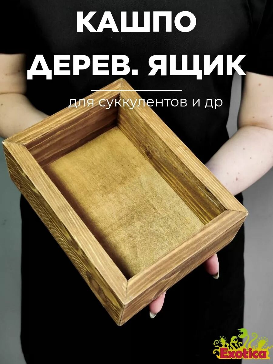 Кашпо - деревянный прямоугольный ящик (для суккулентов, кактусов и др.)
