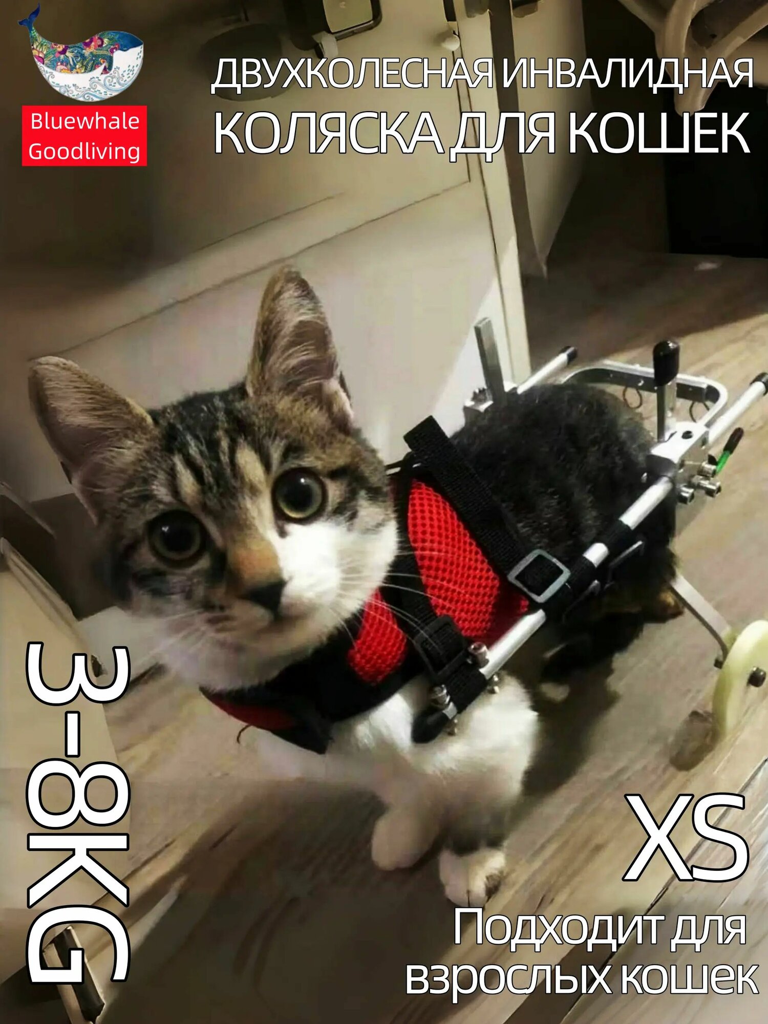Кошачья инвалидная коляска. Двухколесная реабилитационная коляска для кошек. Подходит для домашних животных с проблемами задних лап и полным параличом. Код XS.