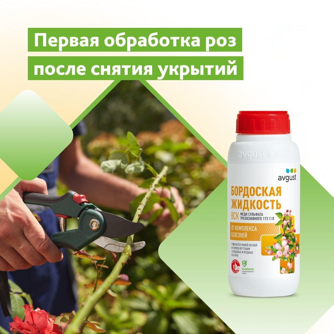 Бордоская жидкость Август, ранне-весенняя защита растений, 500мл
