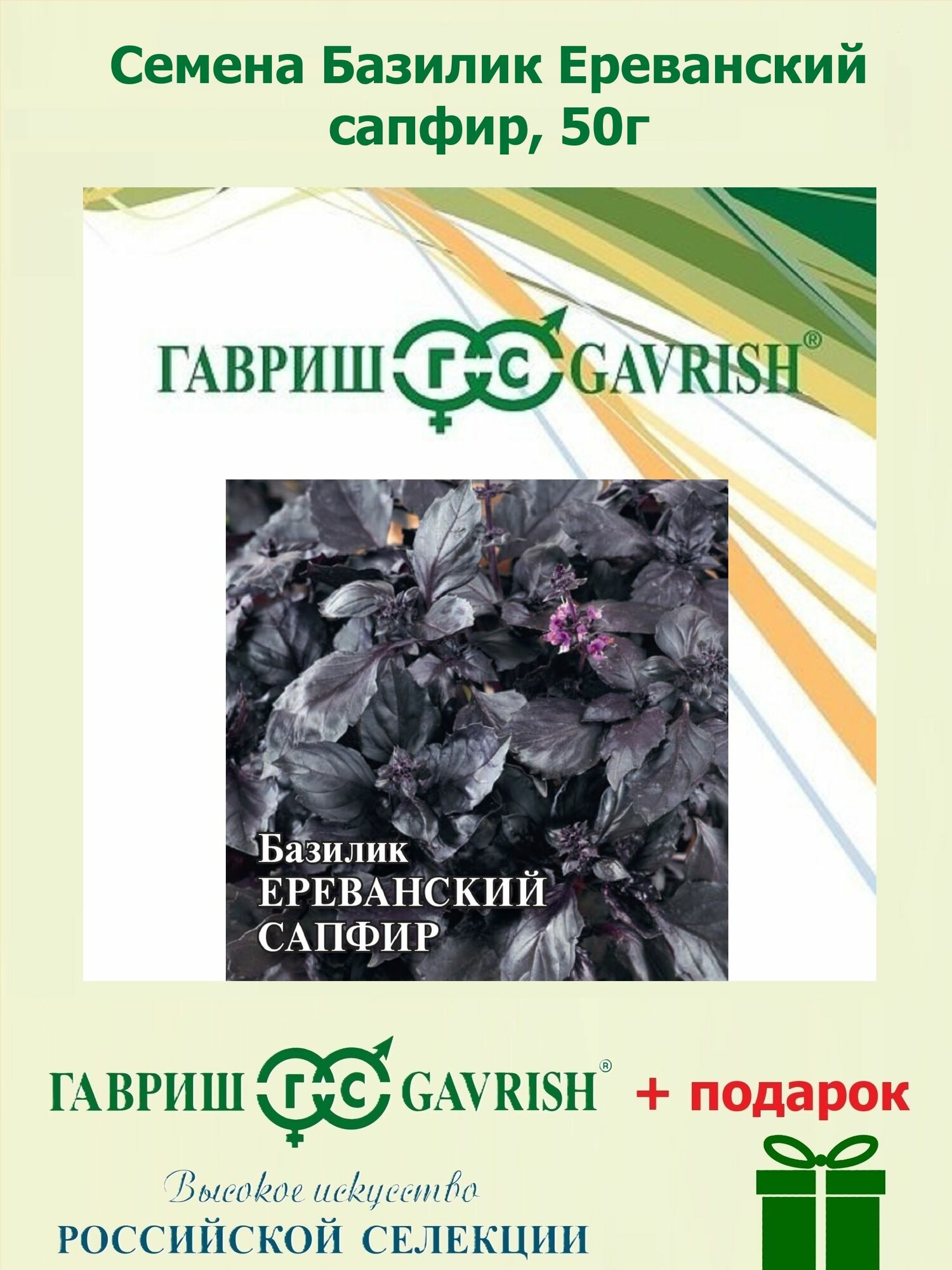Семена Базилик Ереванский сапфир, 50г, Гавриш, Фермерское подворье