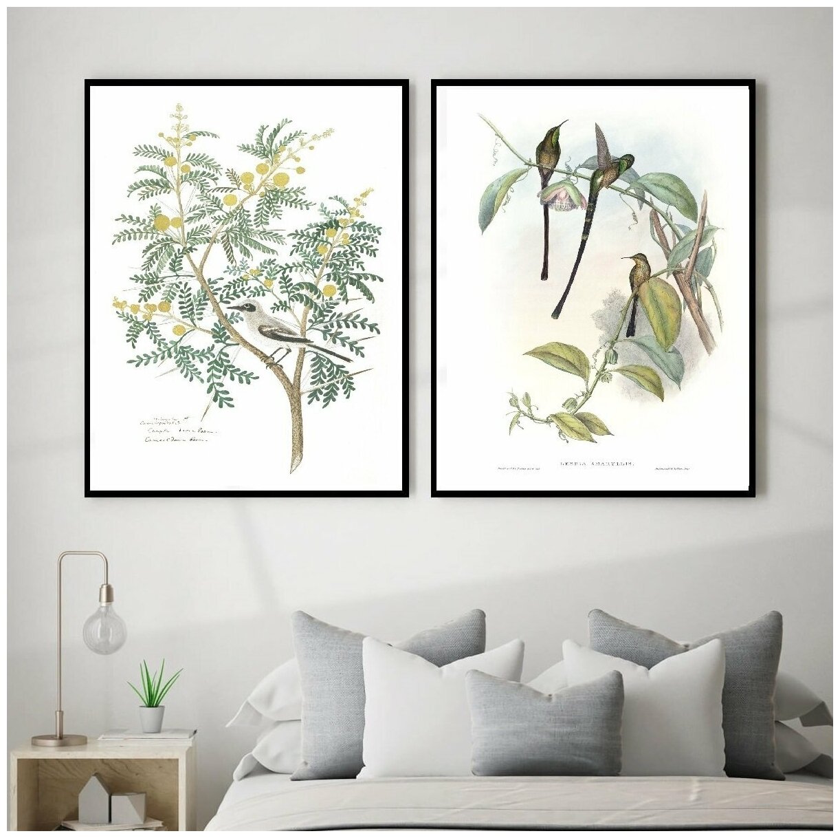 Постер 2 шт 50x70 без рамки "Ветка акации и птицы колибри" набор картин для интерьера