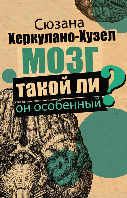 Мозг. Такой ли он особенный? [Цифровая книга]