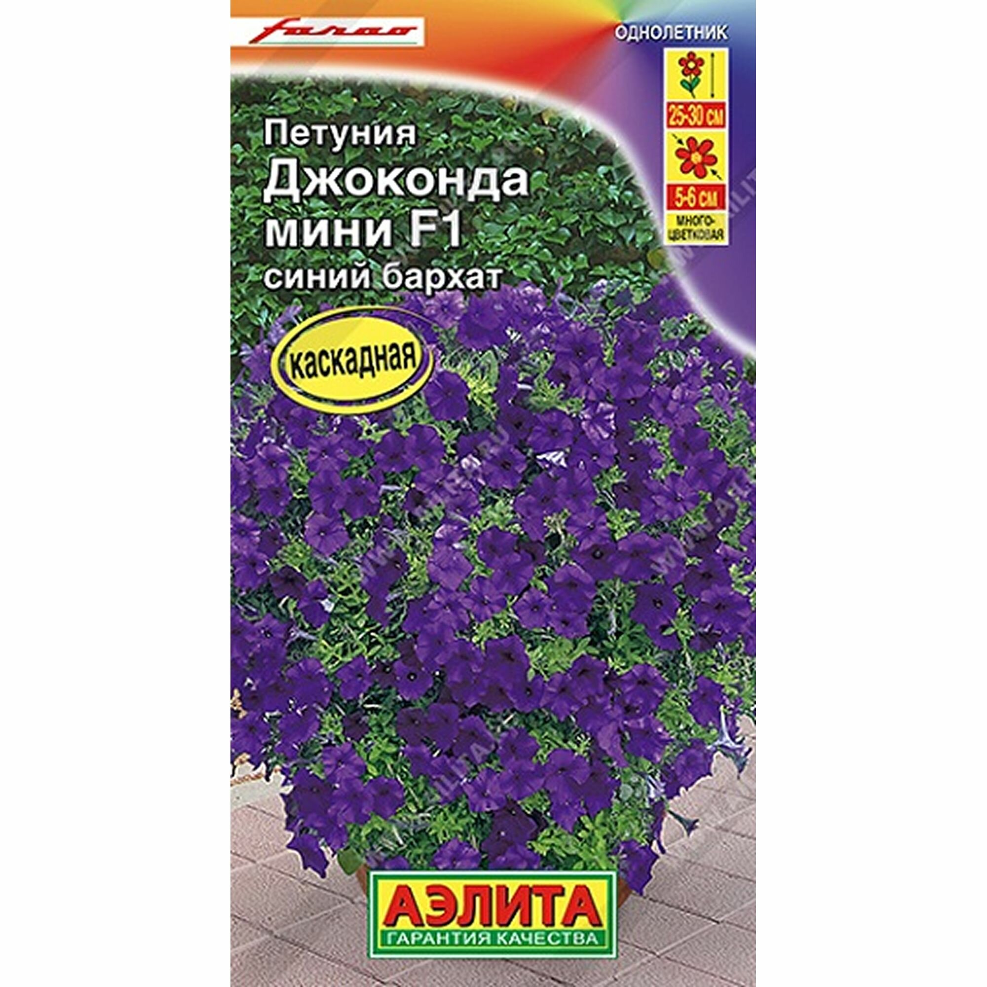 Семена Петуния Джоконда мини F1 синий бархат, однолетник, Аэлита - Farao, 1 пачка - 5 семян