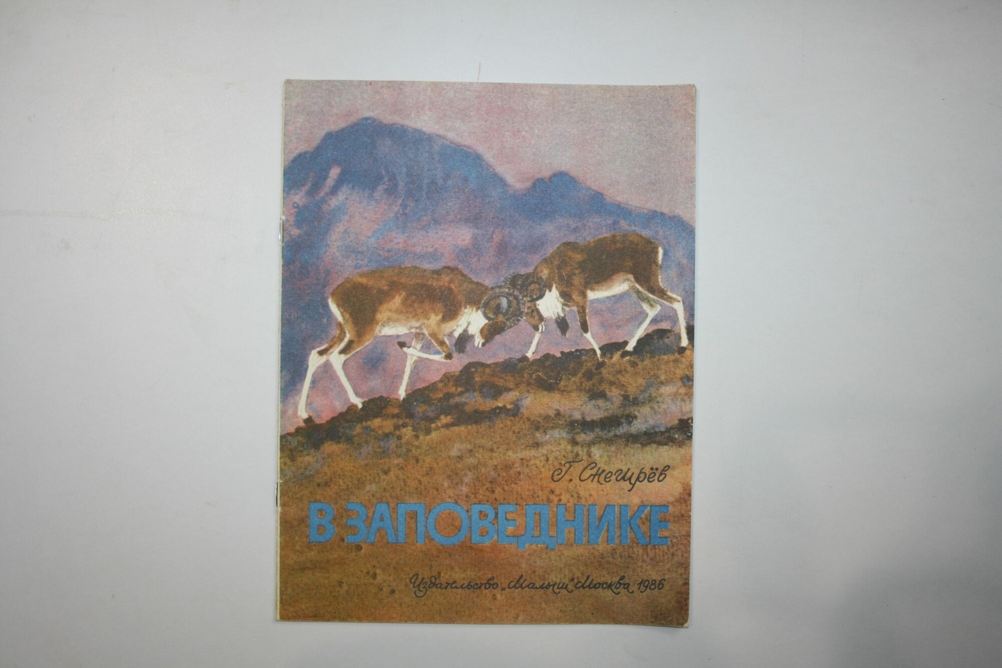 В заповеднике. Книжка-картинка