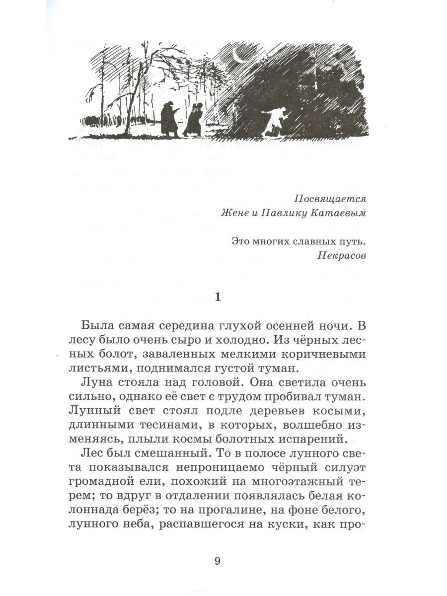 Сын полка : повесть — фото 1