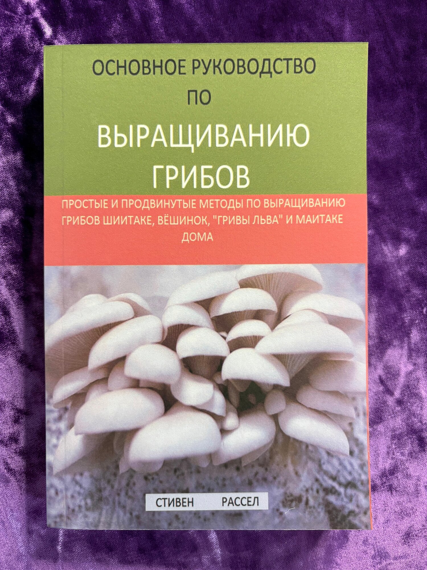 Основное руководство по выращиванию грибов