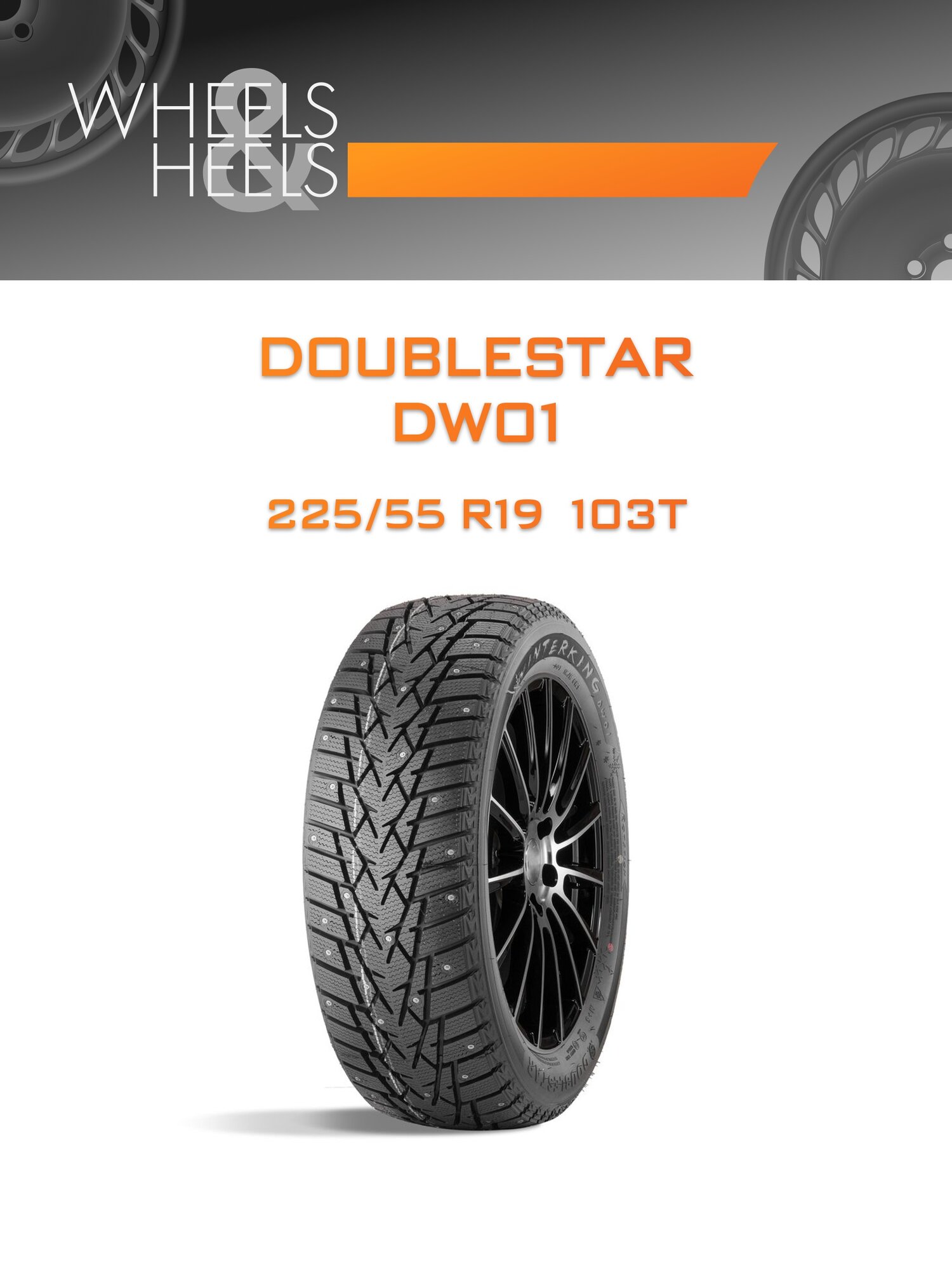 Шина автомобильная DoubleStar DW01 225/55 R19 103T WINTER Ш, зимняя, универсальная