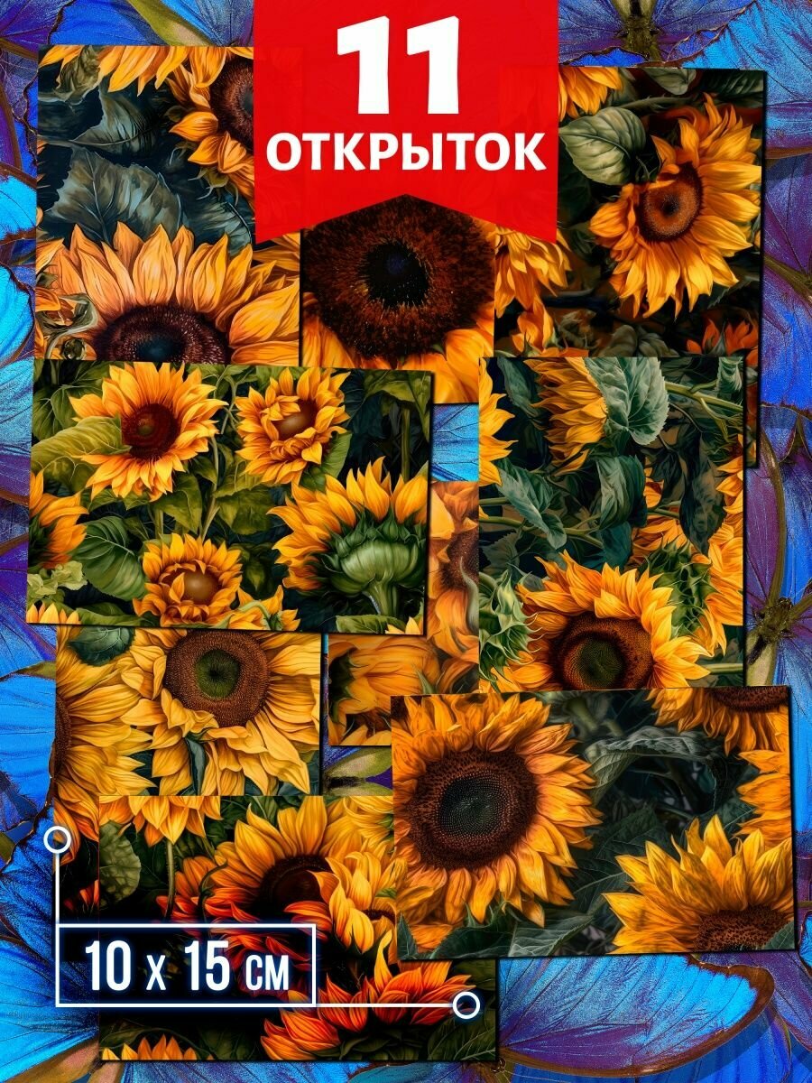 Подсолнухи №1 - набор открыток Аурасо для посткроссинга, 11 штук, размер 10x15 см