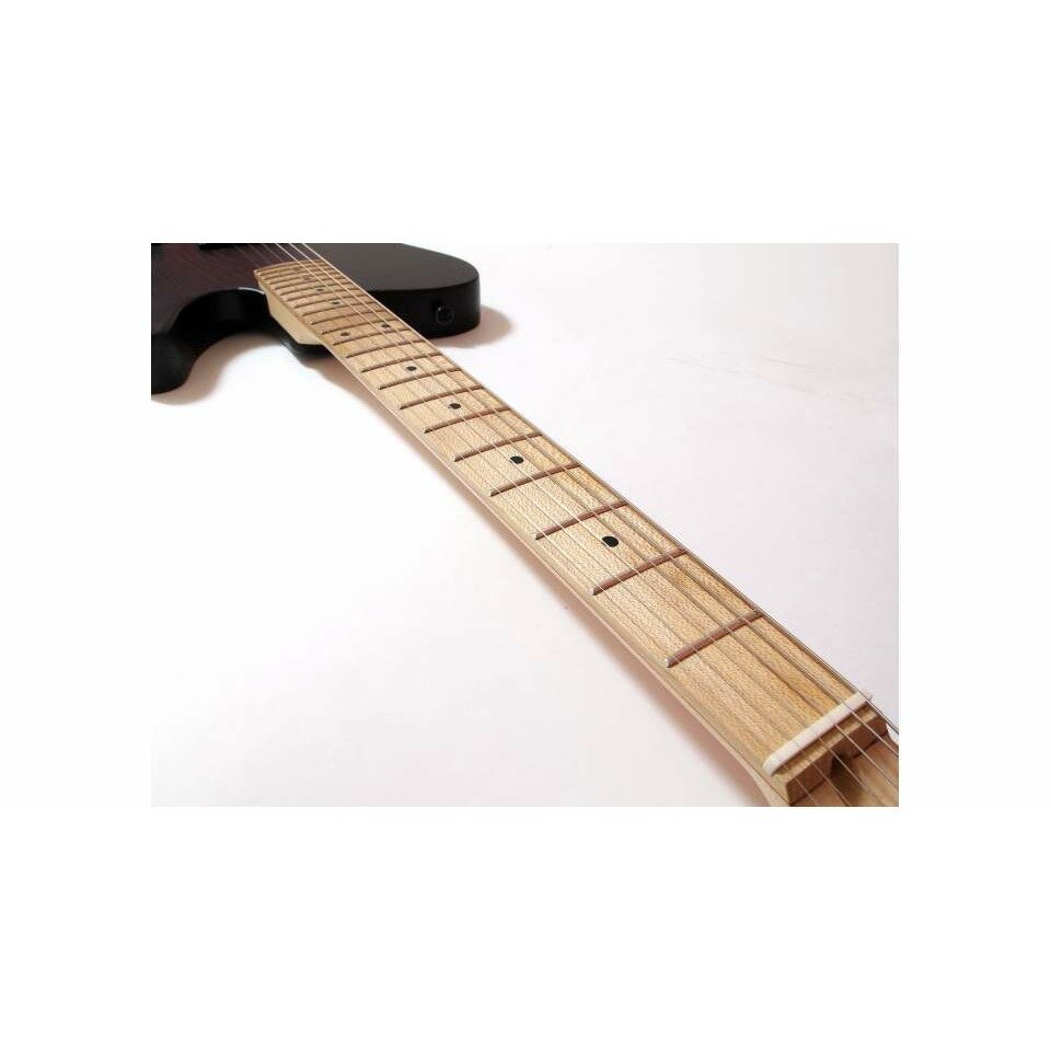 Электрогитара Inspector TT-3-black — фото 1