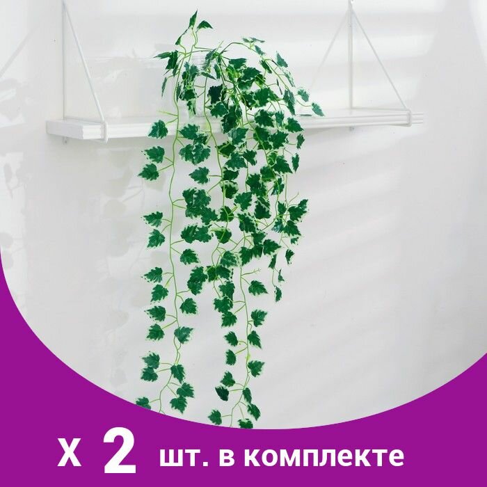 Лиана 'Кленовые листья' 80 см (2 шт)