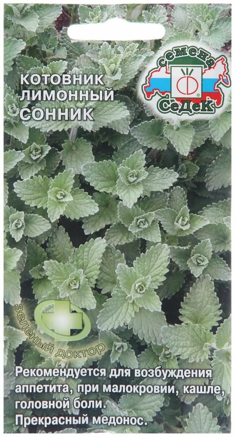 Семена Котовник "Сонник", 0,1 г