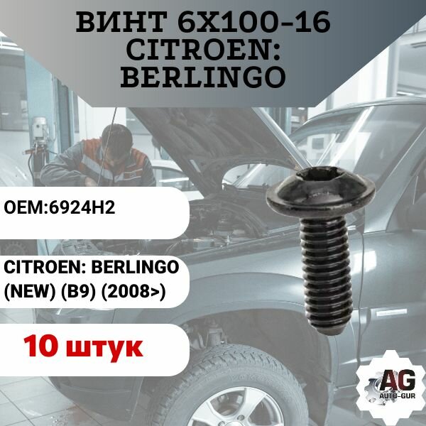 Винт 6X100-16 CITROEN: BERLINGO (NEW) (B9) (2008>) 10 штук