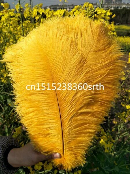 Натуральные перья страуса 8-10 дюймов 500 шт Желтый, Золотой