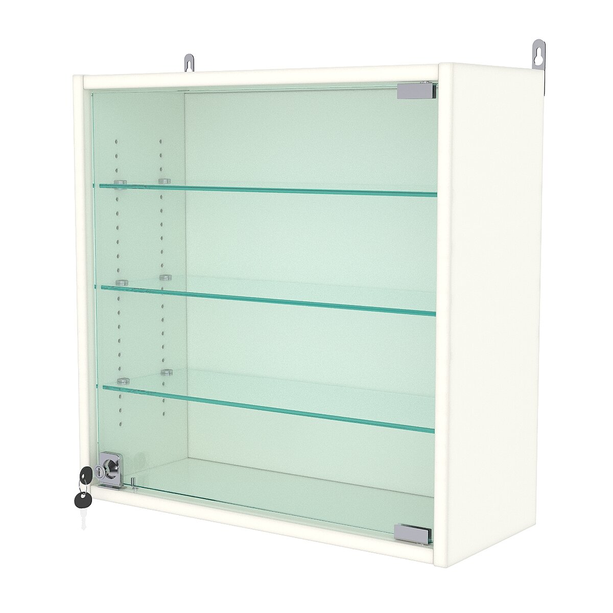 Витрина настенная с регулировочными полками "мини" 50*50*20-РЕГ, Белый