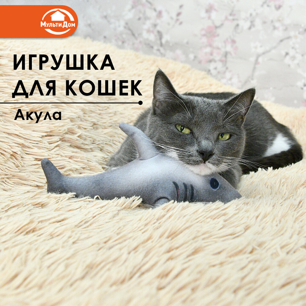 Игрушка для кошек "Акула"