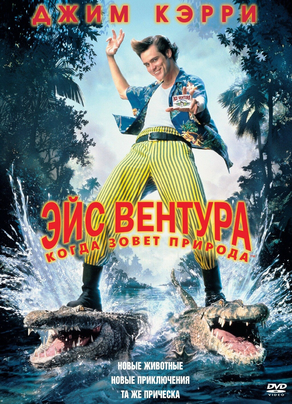 Эйс Вентура 2: Когда зовет природа (DVD)