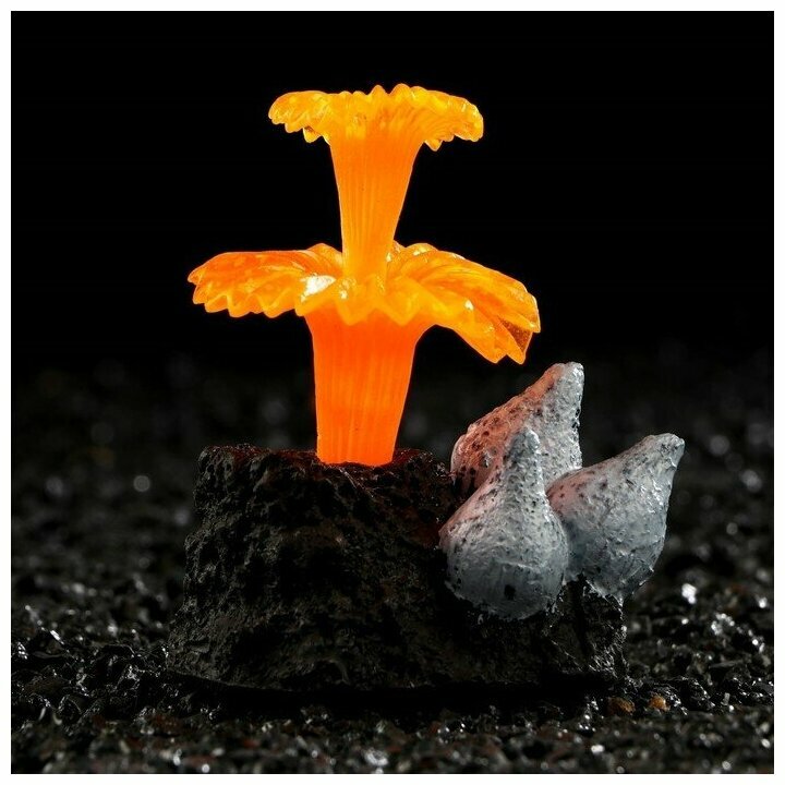 Декор для аквариума "Коралл на платформе" силиконовый, 6 х 4 х 7 см, оранжевый