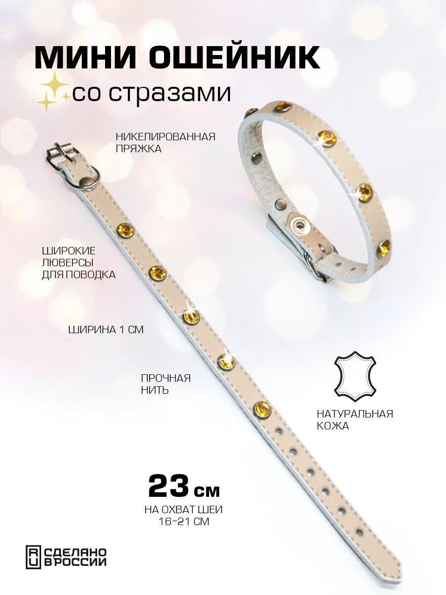 Ошейник кожаный со стразами для собак мелких пород, кошек и щенков