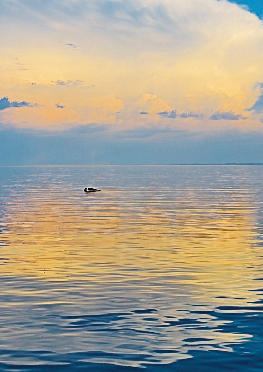 Постер. Россия. Времена года. Весна. Онега весной. Формат А3.