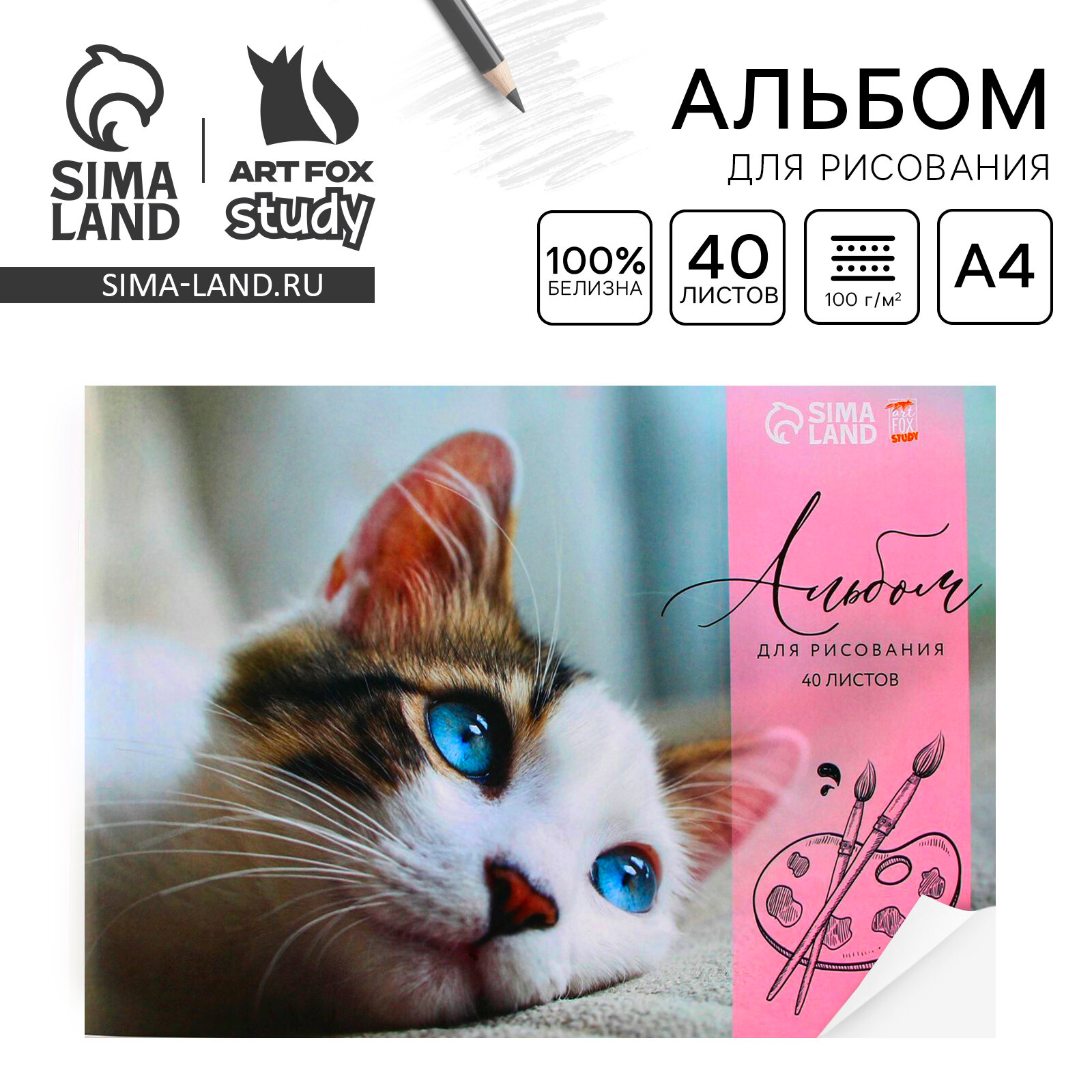 Альбом для рисования на скрепке, 40 листов, А4, "Котёнок", 100 г/м2