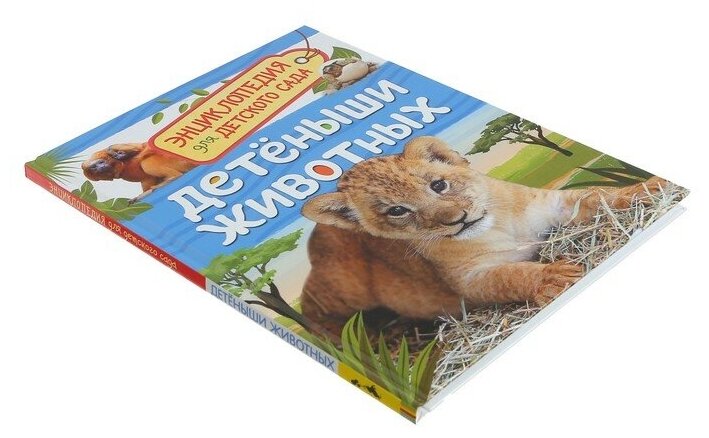 Детеныши животных (Энциклопедия для детского сада) (Клюшник Л. В.)