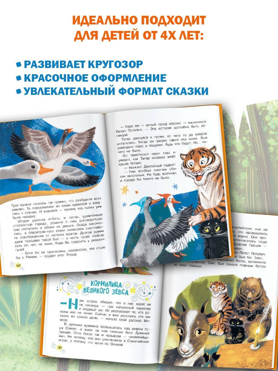 Тайны зоопарка — фото 1
