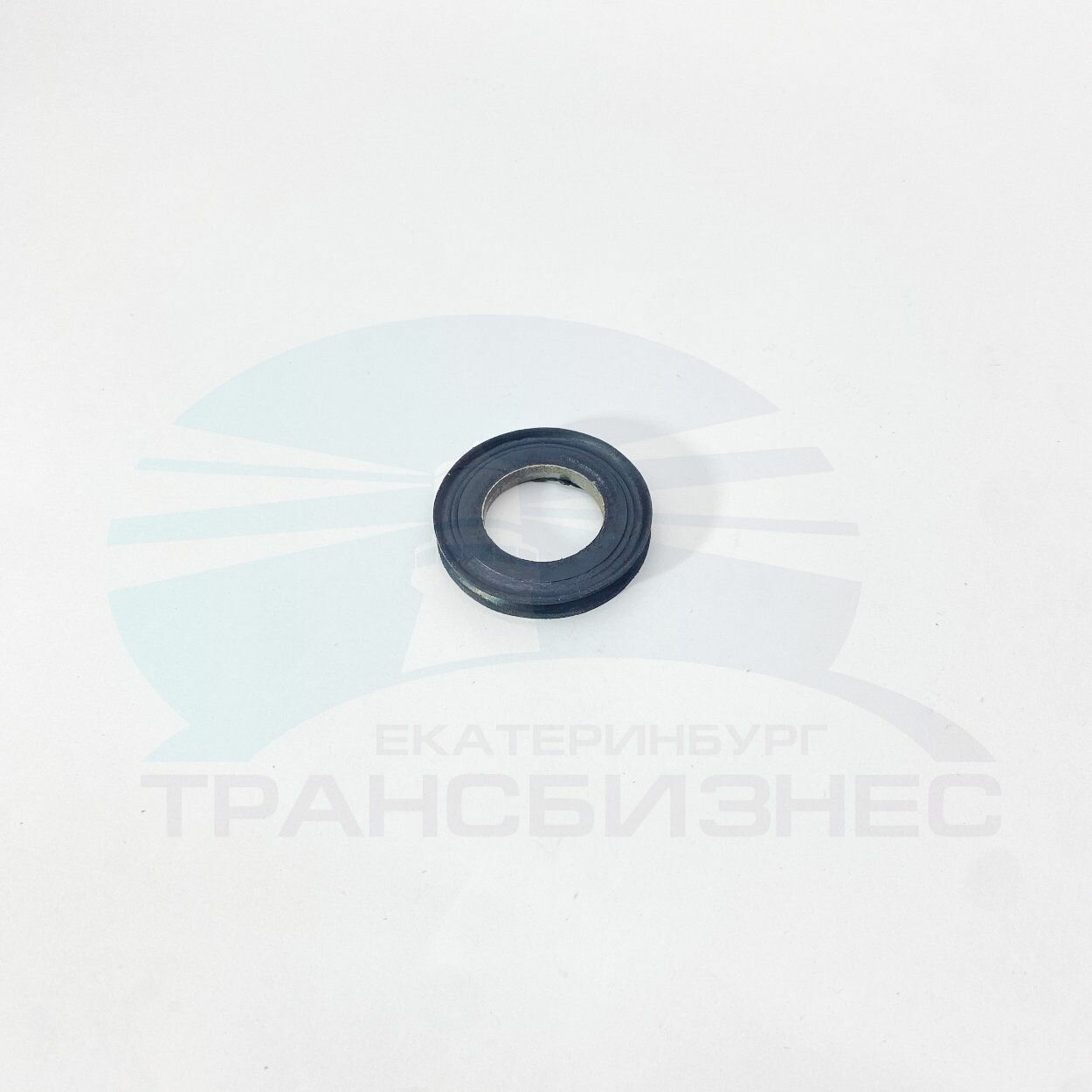 Кольцо уплотнительное пальца передней рессоры тата 613 Е2 Е3 (265132400126)