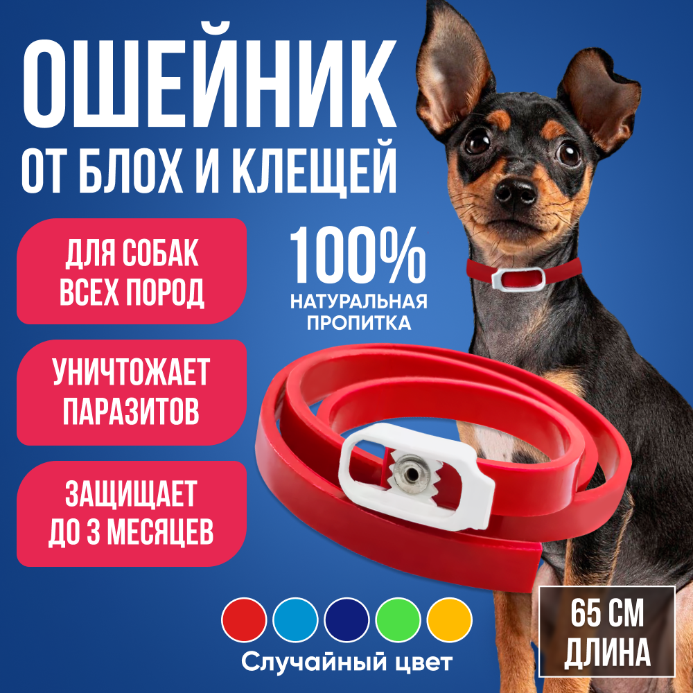 Антипаразитарный БИО ошейник для собак от блох и клещей 65см, ошейник от насекомых