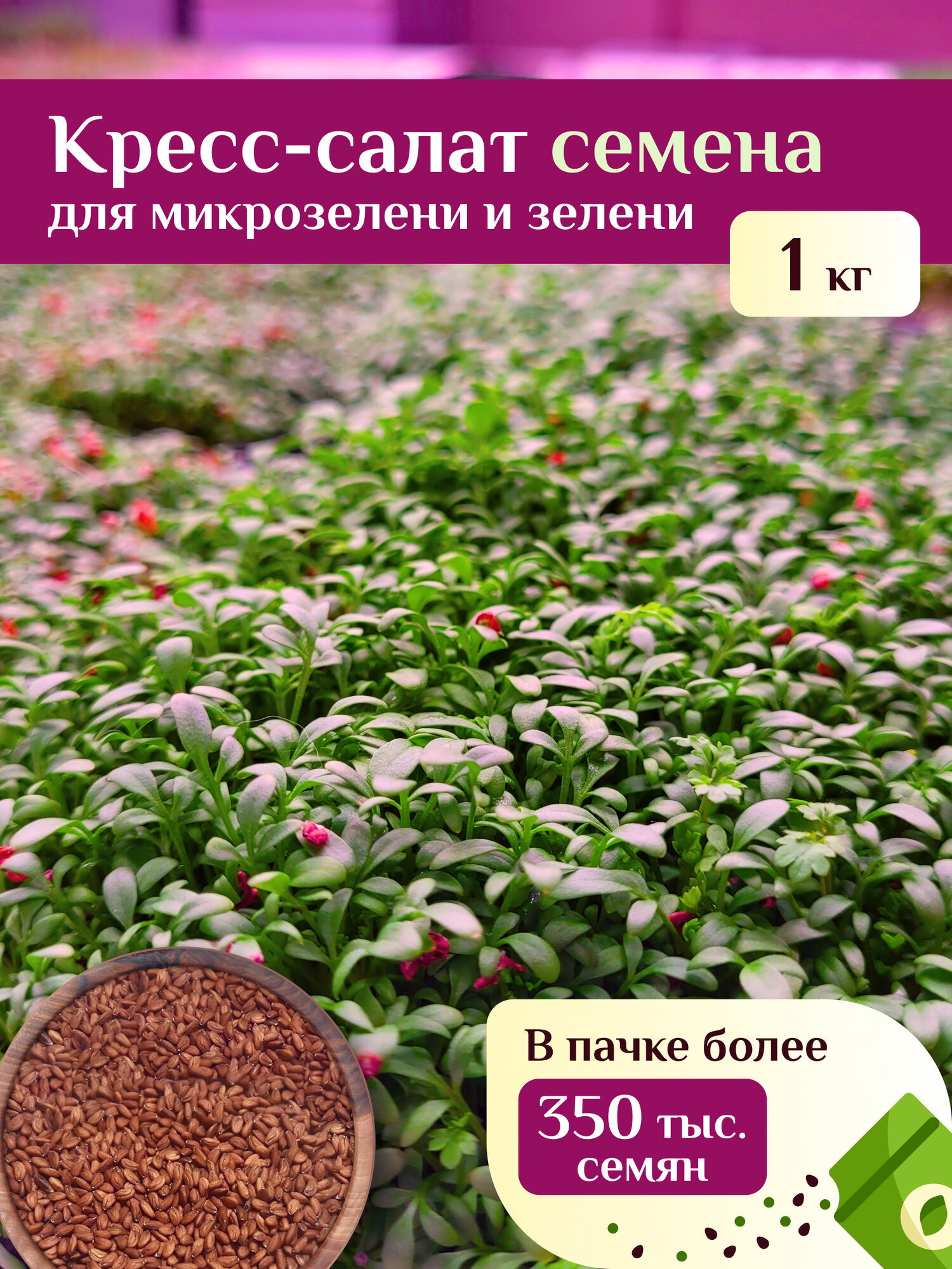 Кресс-салат семена для проращивания, Ильинские проростки 1кг