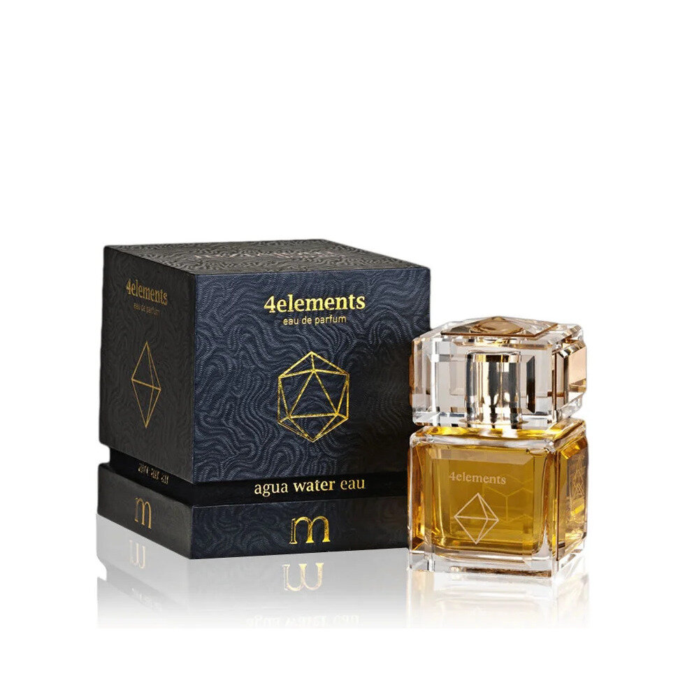 Парфюмерная вода Ramon Molvizar 4 Elements 100 мл