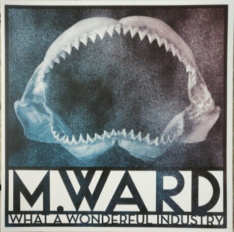 M. WARD What A Wonderful Industry (Виниловая пластинка)