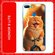 Чехол на Honor 9 Lite / Хонор 9 Лайт с принтом "Кот на велике"