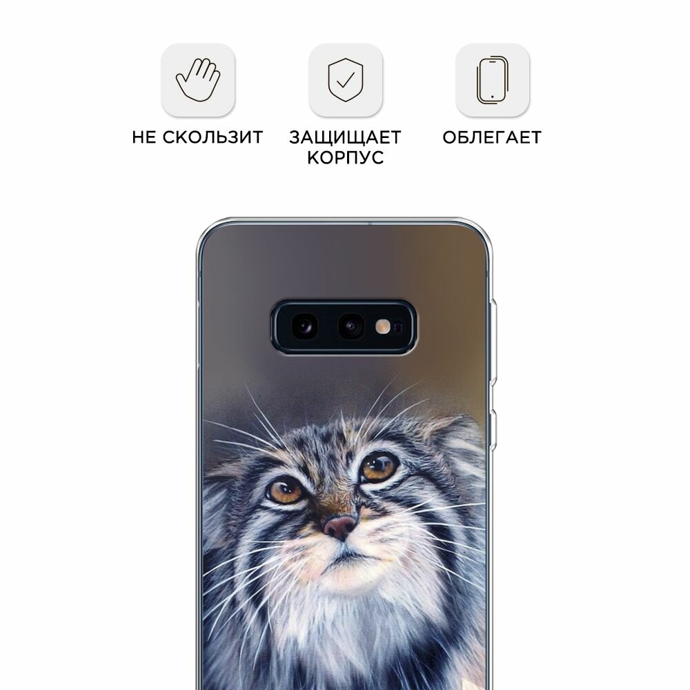 Чехол на Samsung Galaxy S10E / Самсунг Галакси S10E с принтом "Кот манул 2" — фото 1
