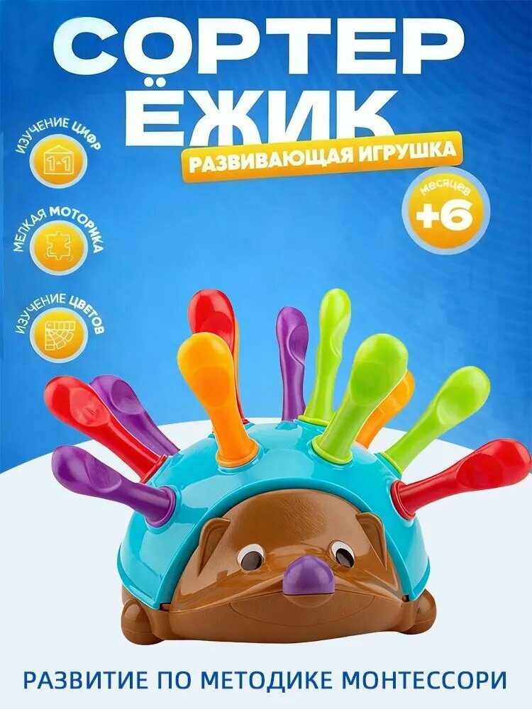 Познавательный цвет, концентрация внимания ребенка, головоломка, игрушка-вкладыш "ежик"