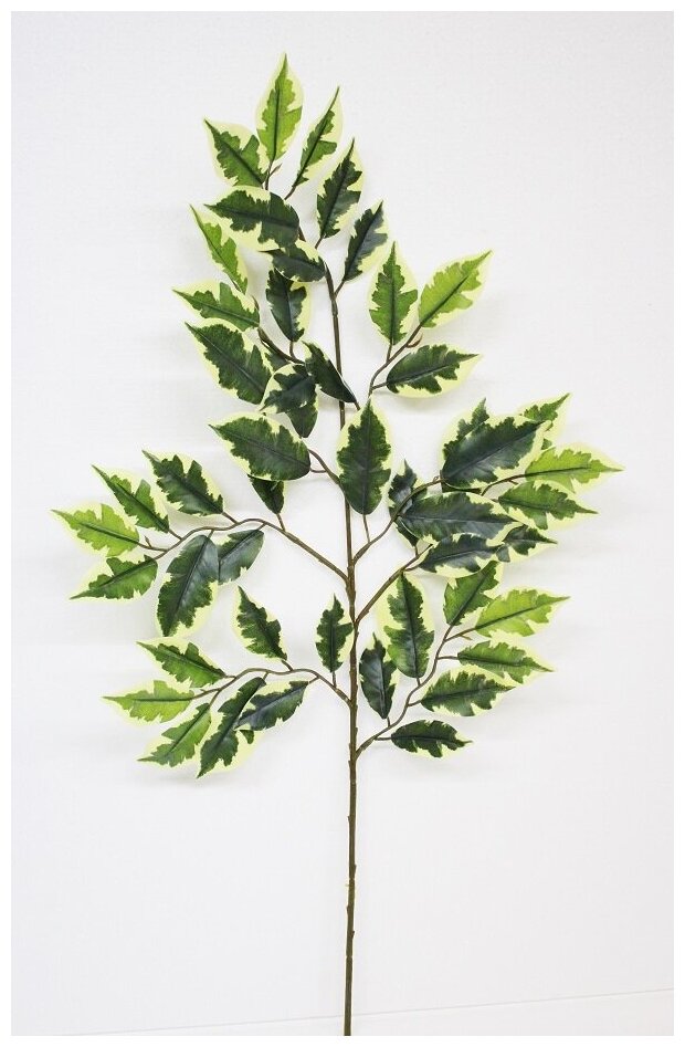 Ветка фикуса искусственная 68 см. 555197_lite-green (Комплект из 2 шт.), бренд CONEKO - декор для дома и офиса