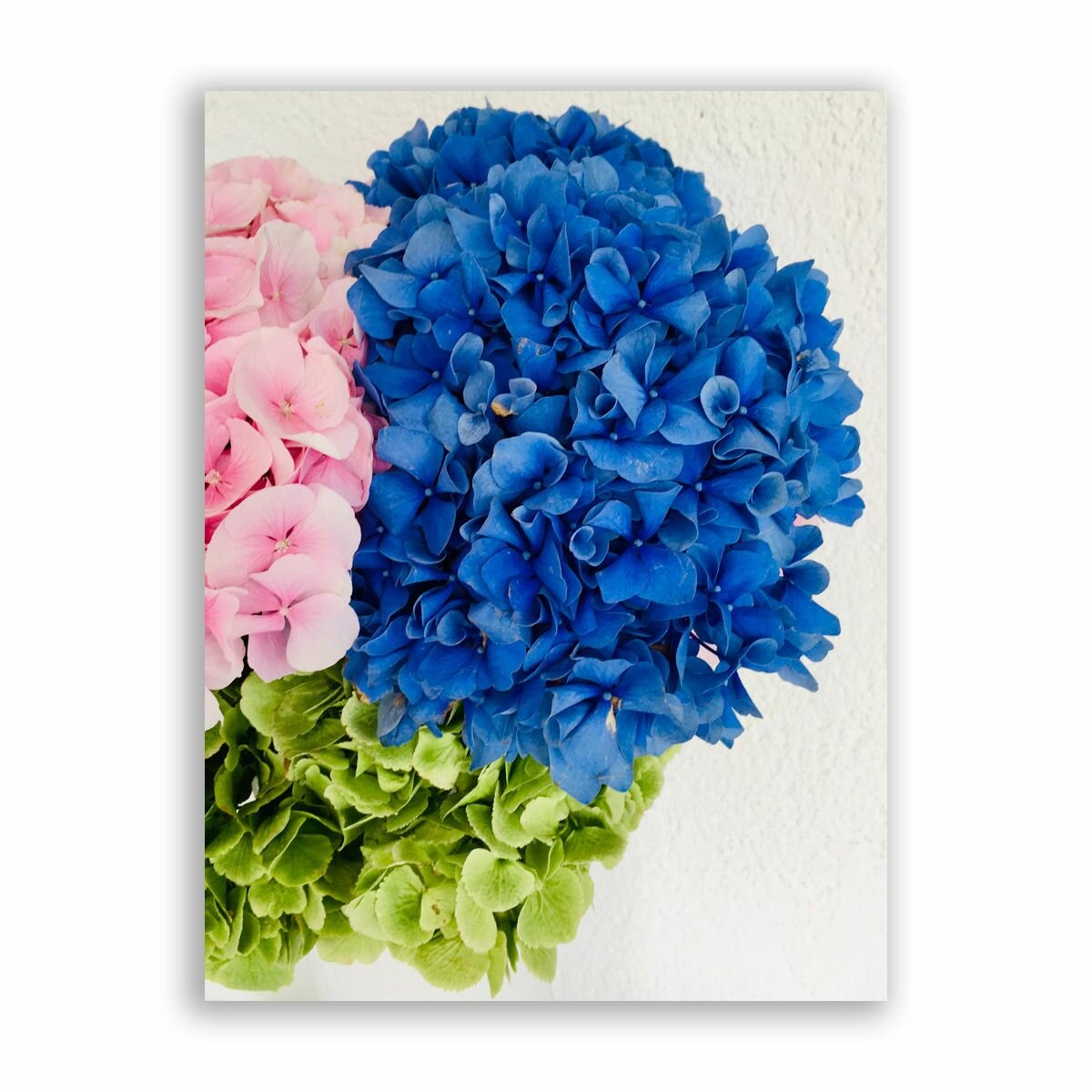 Постер цветы на бумаге / Гортензия / Размер 30 x 40 см