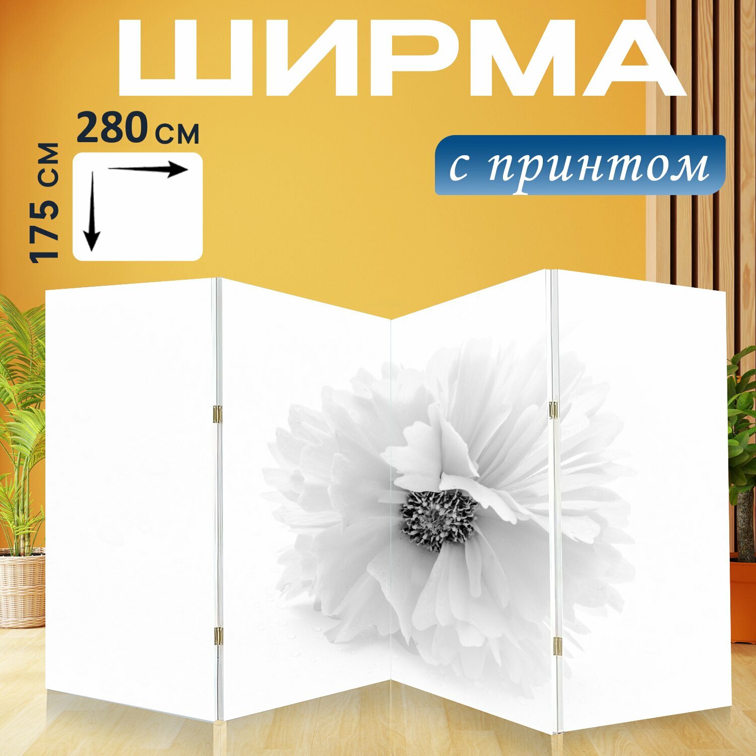Ширма "Белый, белый цветок, цветок" раскладная перегородка для зонирования с принтом на холсте
