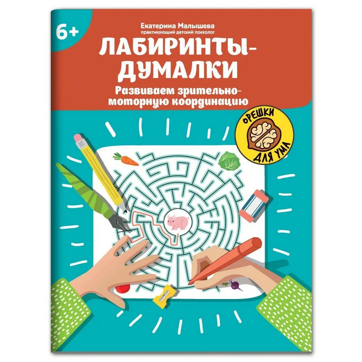 Малышева Е. Лабиринты-думалки. Развиваем зрительно-моторную координацию